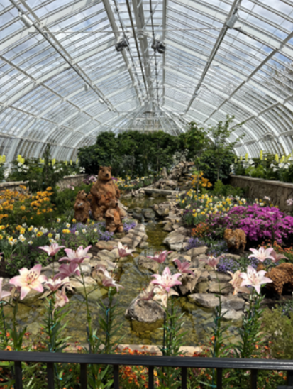 Phipps Conservatory Spring Flower Show Draws to a Close, Summer ...