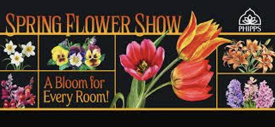 Phipp’s Spring Flower Show Brings a Burst of Color to Pittsburgh - Pitt ...